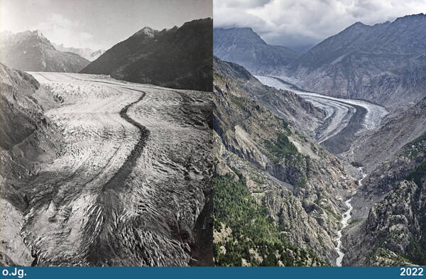 Aletsch-Gletscher – Gletscherarchiv